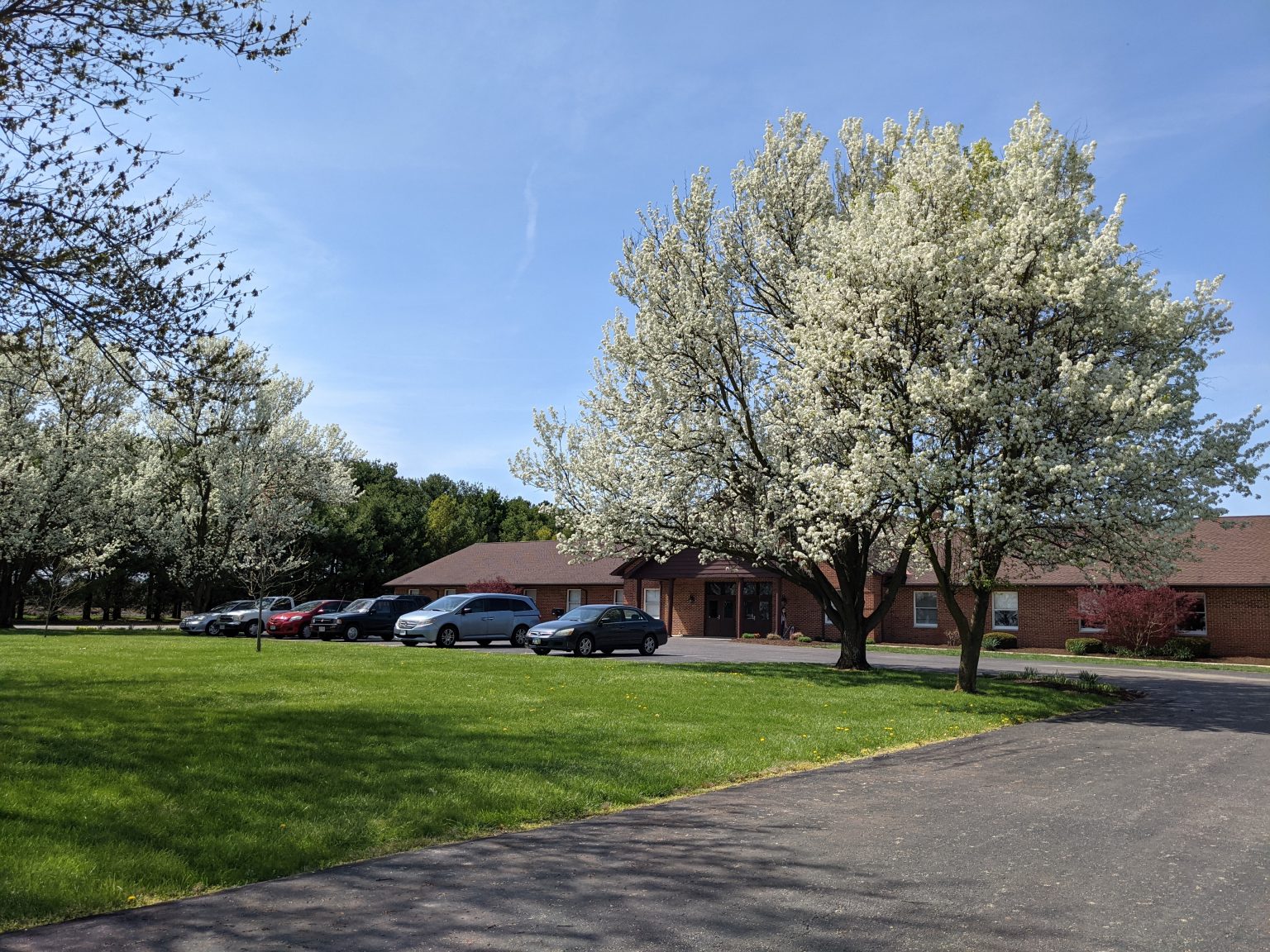 What Around Us? - Rosedale Bible College