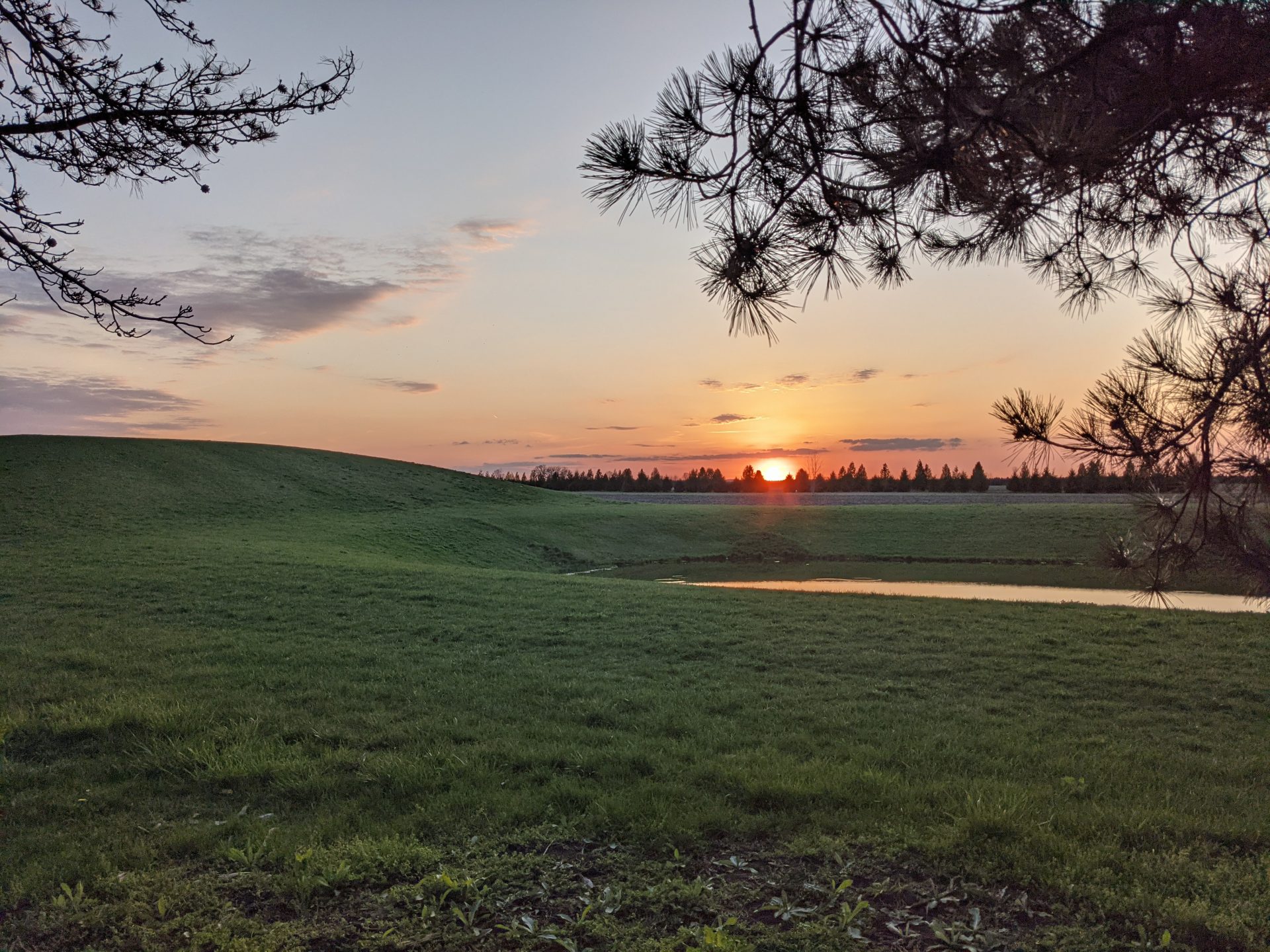 What Around Us? - Rosedale Bible College