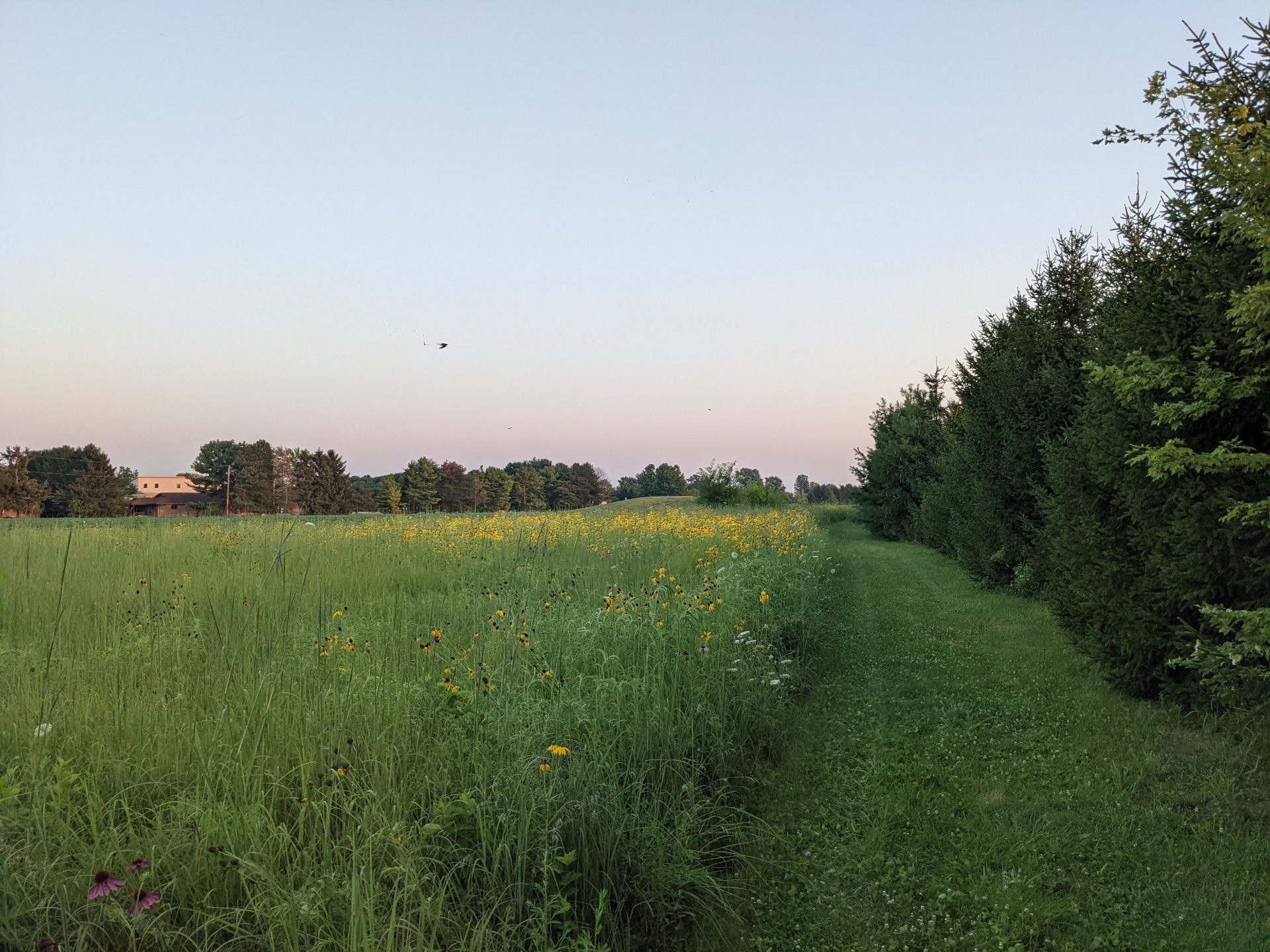 What Around Us? - Rosedale Bible College